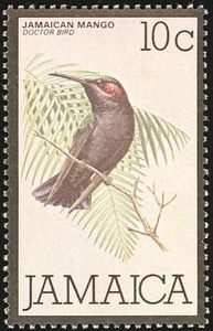 Stamp: Jamaican Mango (Anthracothorax mango) (Jamaica(Definitives 1979 ...