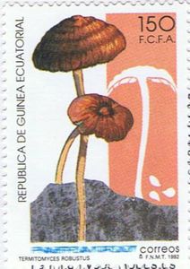 Stamp: Termitomyces robustus (Equatorial Guinea) (Autochthonous ...