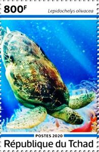 Stamp: Olive Ridley Turtle (Lepidochelys olivacea) (Chad(Turtles (2020 ...