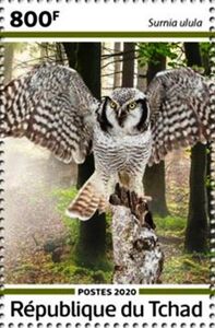 Stamp: Northern Hawk-Owl (Surnia ulula) (Chad) (Owls (2020)) Col:TD ...
