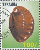 Stamp: Sea Shells (Cinderellas) (Tanzania) Col:TZ 1998-01/4