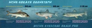 Stamp: Fish of Lake Issyk-Kul (Kyrgyzstan(Fish of Lake Issyk-Kul (2020 ...