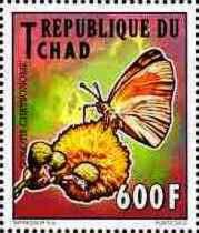 Stamp: Golden Arab Tip (Colotis chrysonome) (Chad(Butterflies (2012:2 ...
