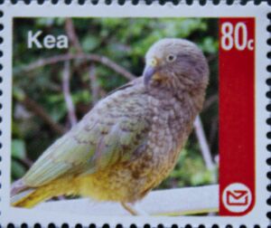 Stamp: Kea CAL stamp (New Zealand: Personalized Stamps(Custom ...