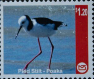 Stamp: Pied Stilt CAL stamp (New Zealand: Personalized Stamps(Custom ...