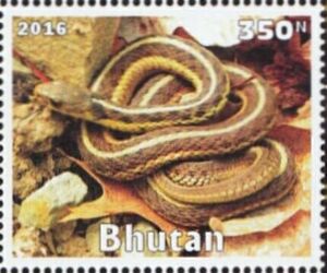Stamp: Snakes (Bhutan: Illegal StampsCol:BT 2016-10/6