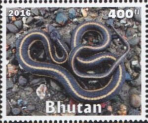 Stamp: Snakes (Bhutan: Illegal StampsCol:BT 2016-10/7