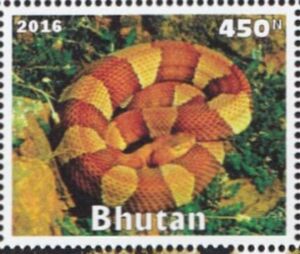 Stamp: Snakes (Bhutan: Illegal StampsCol:BT 2016-10/8