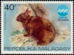 Stamp: Amami Rabbit (Pentalagus furnessi) (Madagascar(Special ...