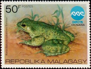 Stamp: Otton Frog (Rana subaspera) (Madagascar(Special Exhibition EXPO ...