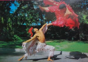 Postcard: Sabong (Philippines) (- Philippine Life, Legend and Love in ...