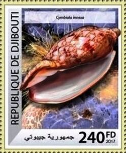 Stamp: Cymbiola innexa (Djibouti) (Shells (2017)) Mi:DJ 1853