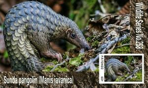 Stamp: Sunda pangolin (Tonga: Illegal Stamps(Tongo) Col:TN-PR 2020-21