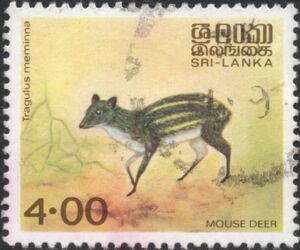 Stamp: White-spotted Mouse Deer (Tragulus meminna) (Sri Lanka(Native ...