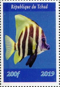 Stamp: Tropical Fish (Chad: Illegal Stamps(Fauna (2019)) Col:TD 2019-65/3