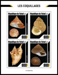 Stamp: Shells (Chad(Shells (2020:1)) Yt:TD 2833-2836