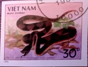 Stamp: Sharp-nosed Viper (Ancistrodon acutus) (Vietnam(Poisonous Snakes ...