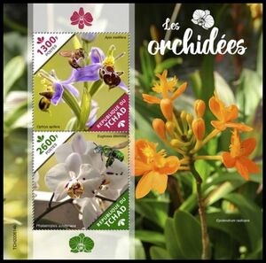 Stamp: Ophrys apifera and Phalaenopsis schilleriana (Chad(Orchids (2020 ...