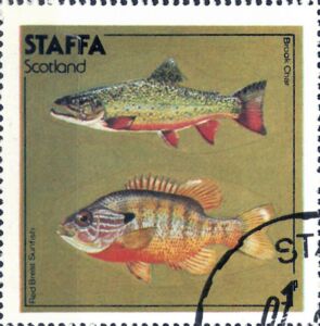 Stamp: Brook Char / Red Brest Sunfish (Scotland, Staffa: Cinderella ...