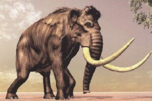 Pocket Calendar: Mamouth (Czech Republic(Dinosaurs) Col:CZ-2021-Dino ...