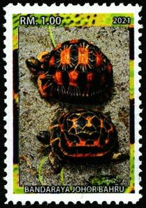 Stamp: Turtles (Malaysia: Illegal Stamps(Bandaraya Johor Bahru) Col:MY ...