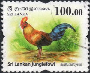 Stamp: Sri Lankan junglefowl (Gallus lafayetii) (Sri Lanka(Wild Animals ...