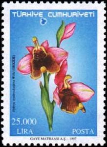 Stamp: Ophrys tenthredinifera (Türkiye (Turkey)(Postal Stamps: Orchids ...