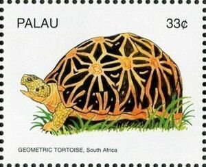 Stamp: Geometric Tortoise (Psammobates geometricus) (Palau(Endangered ...