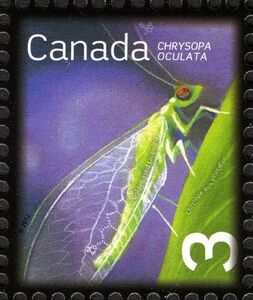 Stamp: Golden eyed Lacewing (Chrysopa oculata) (Canada(Beneficial Insect Definitives 2007-2014 ...