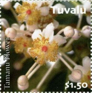 Stamp: Tamanu Flower (Tuvalu(Flowers of Tuvalu (2020)) Mi:TV 2535,Sn:TV ...