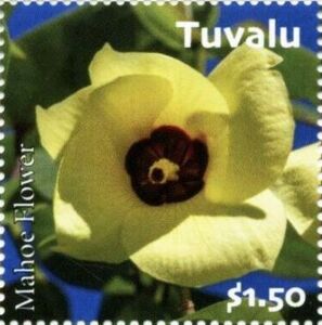 Stamp: Mahoe Flower (Tuvalu(Flowers of Tuvalu (2020)) Mi:TV 2536,Sn:TV ...
