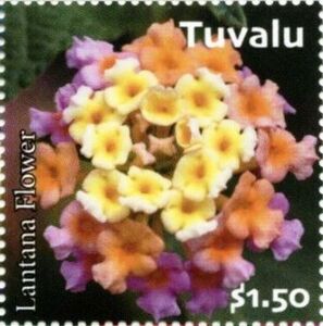 Stamp: Lantana Flower (Tuvalu(Flowers of Tuvalu (2020)) Mi:TV 2537,Sn ...