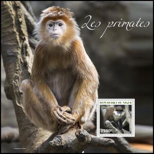 Stamp: Lesser spot-nosed monkey (Cercopithecus petaurista) (Niger ...