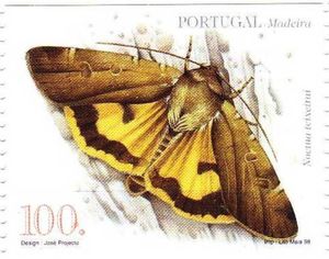 Stamp: Moth (Noctua teixeirai) (Madeira Islands(Madeira Insects (2nd ...