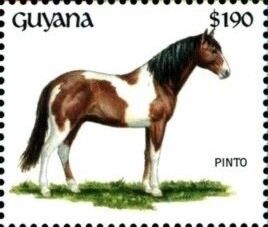 Stamp: Pinto (Guyana(Horses) Mi:GY 3861,Sn:GY 2579g,Sg:GY 3345