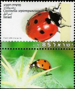 Stamp: Seven-Spot Ladybird (Coccinella septempunctata) (Israel(Beetles ...