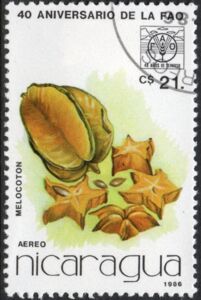 Stamp: Starfruit (Melocoton) (Nicaragua(FAO, 40th Anniv.) Mi:NI 2692,Sn ...
