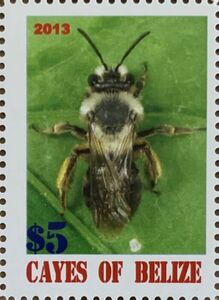 Stamp: Bees (Cayes of Belize: Illegal StampsCol:BZ-IL 2013-01/2