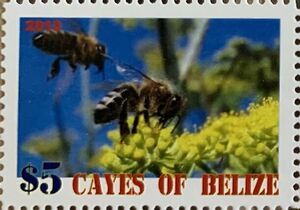 Stamp: Bees (Cayes of Belize: Illegal StampsCol:BZ-IL 2013-02/4