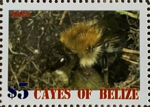Stamp: Bees (Cinderellas(Belize : Cayes of Belize) Col:BZ-IL 2013-02/5