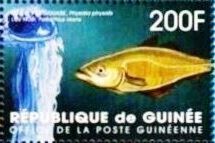 Stamp: Physalia physalis, Pollachius virens (Guinea) (International ...