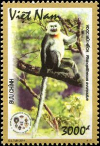 Stamp: Tonkin Snub-nosed Monkey (Rhinopithecus avunculus) (Vietnam ...