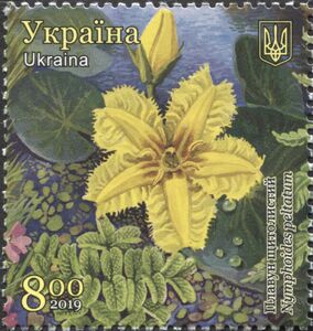 Stamp: Nymphoides peltata (Ukraine(Reserves and Natural Parks: Mezyn ...