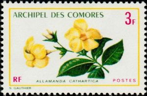 Stamp: Allamanda cathartica (Comoros(Flowers) Mi:KM 125,Sn:KM 97,Yt:KM ...