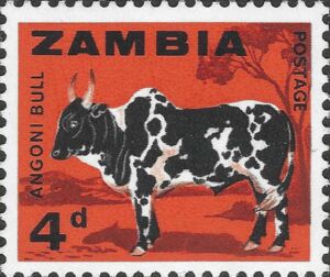 Stamp: Angoni bull (Bos primigenius indicus) (Zambia(Definitives 1964 ...