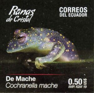 Stamp: Mache Cochran Frog (Cochranella mache) (Ecuador(Glass Frogs ...