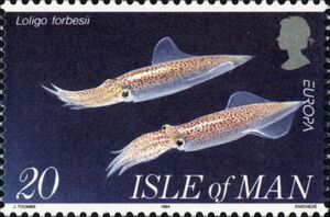 Stamp: Veined Squid (Loligo forbesii) (Isle of Man(Europa (C.E.P.T ...