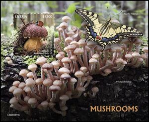 Stamp: The Penny Bun (Boletus edulis) (Liberia(Mushrooms (2020.1)) Sn ...
