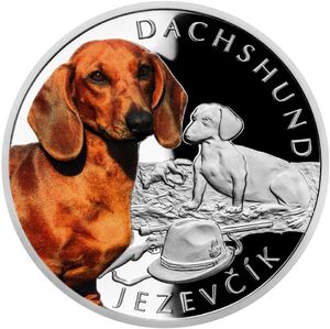 Moneda: 1 Dollar (Dog Breeds - Dachshund) (Niue(2021~Today - Dog Breeds)