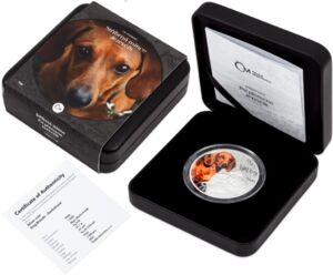 Moneda: 1 Dollar (Dog Breeds - Dachshund) (Niue(2021~Today - Dog Breeds)